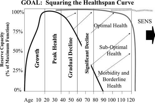 Age Management Medicine and Applied Healthspan Engineering: closely ...